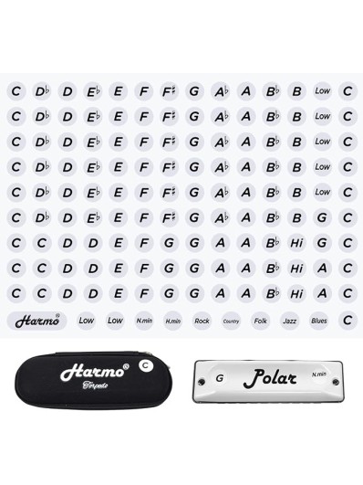 Harmo Polar Harmonica | Chromatic harmonica | Diatonic harmonica USA